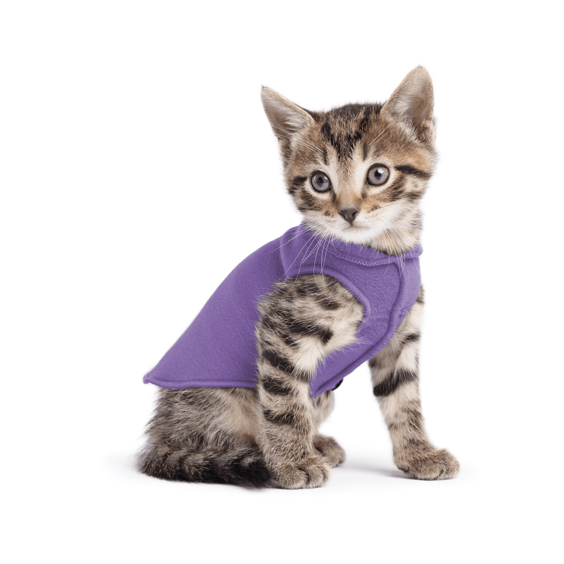 Stretch Fleece | Goldpaw